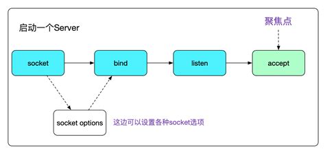 从Linux源码看Socket TCP 的accept 无毁的湖光 Al 博客园