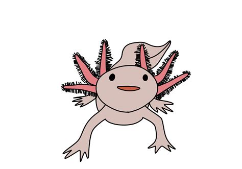 How To Draw An Axolotl Design Babe