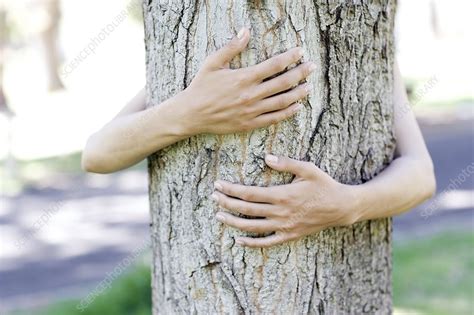 Tree Hugging Stock Image F001 2697 Science Photo Library