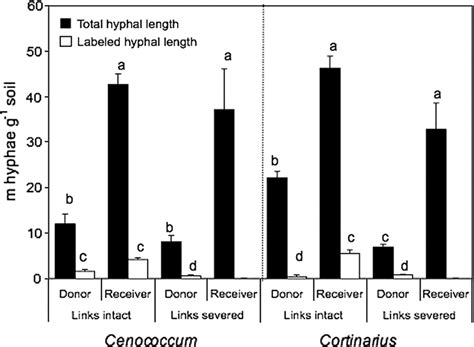 Total Hyphal Length Em Amf And Length Of Hyphae Containing Alexa