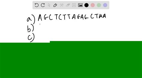 Write The Complementary DNA Sequence Of Each Of The Following Base Sequences A T CG A GA A T