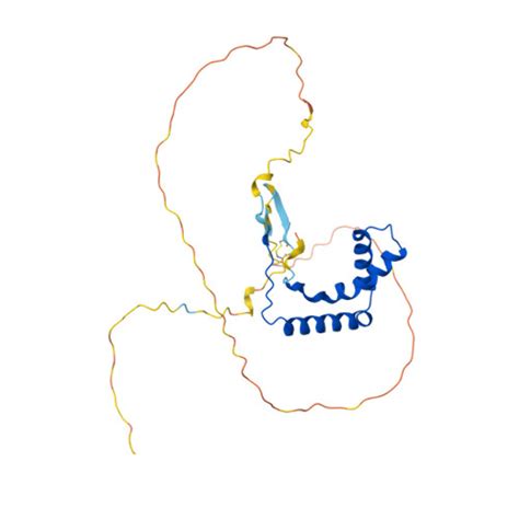 Rcsb Pdb Af Afb7szv3f1 Computed Structure Model Of Sox14