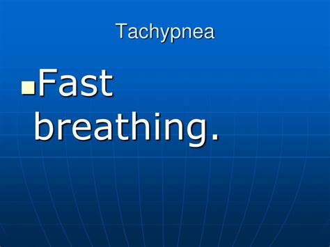 Ppt Understanding Respiratory System Vocabulary Key Terms And