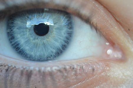 Royalty Free Photo Closeup Photography Of Human Blue Eye Pickpik