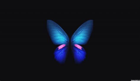 30 عکس از راپونزل برای رنگ آمیزی شادی و خلاقیت را به ارمغان می آورد