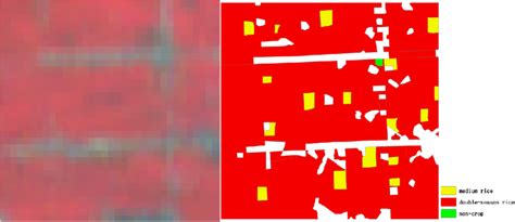 Samples Of Crop Map Within Plots A Enlarged Area Of HJ CCD Image Download Scientific