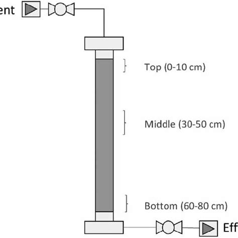 Schematic Representation Biofilter Download Scientific Diagram