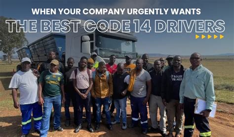 when code 14 truck drivers are wanted urgently by logistics companies