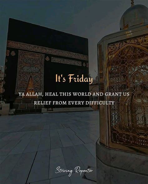 Saira Liaquat Posted On Linkedin