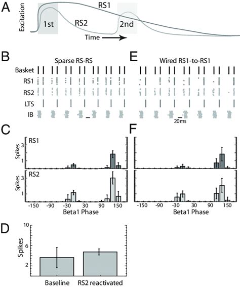 Reactivation Of Cells By A Familiar Input Nests Superficial Layer Gamma