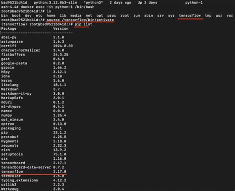 Access To Docker Container Shell On Synology Nas Wesleys Blog