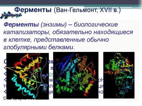 Белки. Функции белков - online presentation