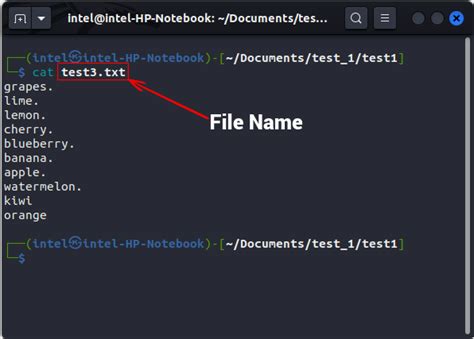 Comment Utiliser La Commande Cat Sous Linux Avec Exemples Tech Tribune France