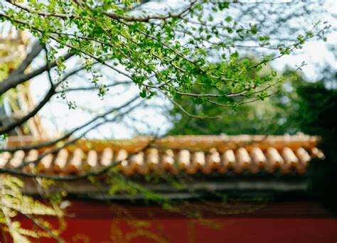 【立春】钱穆先生：冬去春来，欣欣向荣，此中有信仰、有希望、有启示 中国 文化 历史
