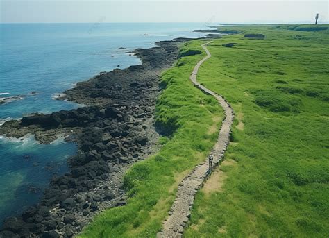 바다로 이어지는 길의 항공 사진 국내여행 도로 울타리 배경 일러스트 및 사진 무료 다운로드 Pngtree