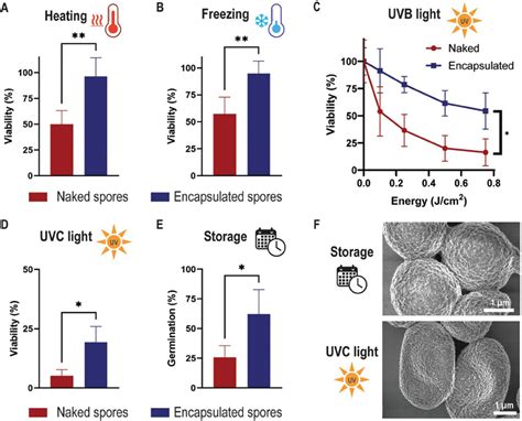 Enhancing Stability And Efficacy Of Trichoderma Bio‐control Agents