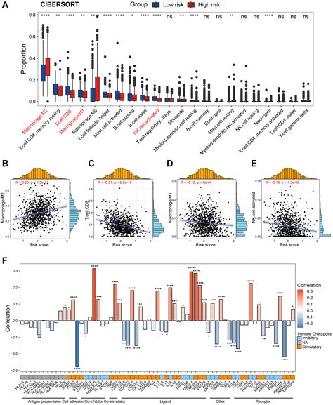 Cancer Associated Fibroblast Derived Gene Signature Discriminates Distinct Prognoses By