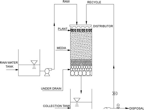 Schematic Of The CSF Process Operation Download Scientific Diagram