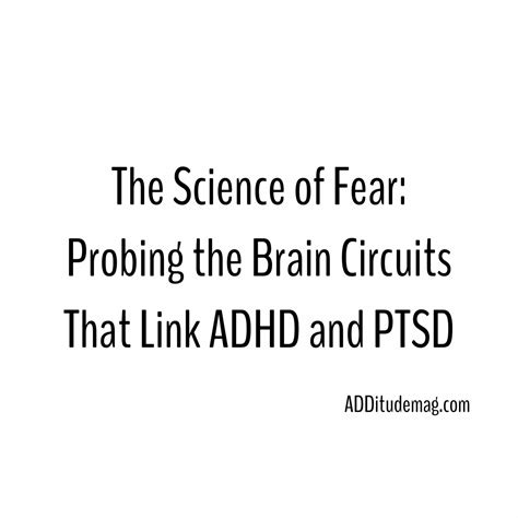 The Science Of Fear Probing The Brain Circuits That Link Adhd And Ptsd