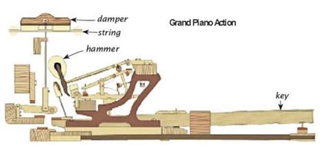 Visual Guide To Grand Piano Action