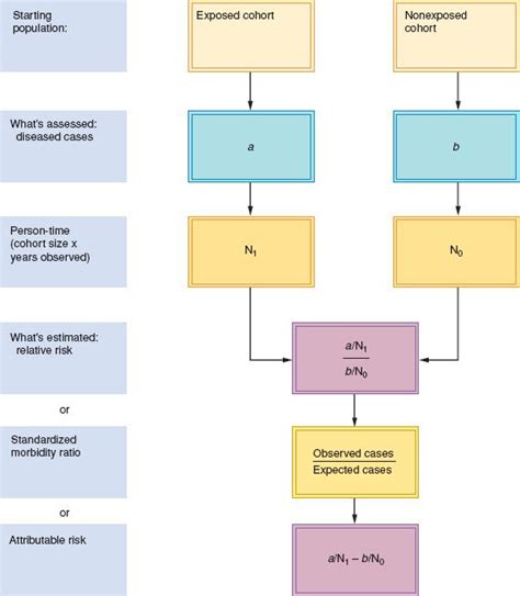 Epidemiology And Biostatistics Oncohema Key