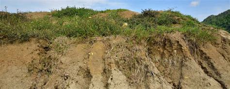 Dtec Sediment Control Basics Dtec