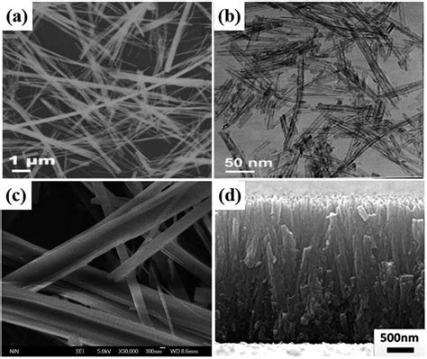 SEM Images Of Various TiO Morphologies Synthesized By The Download Scientific Diagram