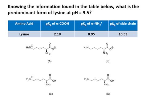 Lysine Side Chain At Ralph Longo Blog