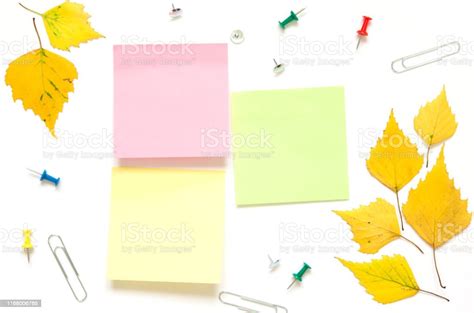 학교 문구와 노란색 단풍은 흰색에 고립 학교 개념으로 돌아갑니다 공간을 복사합니다 맨 위 보기 이미지 10월에 대한 스톡 사진