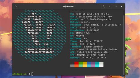 Neofetch La Herramienta Para Personalizar Tu Sistema Con Información