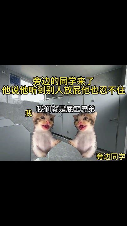 【猫meme】 在课堂上拉大的。 猫meme猫meme小剧场猫meme剧场猫meme故事猫meme日常cat搞笑meme