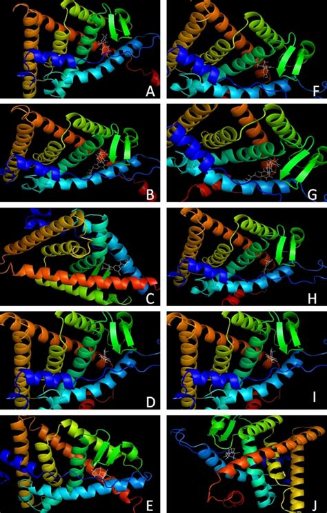 Ligand Docking Pymol About Dock Photos Mtgimageorg