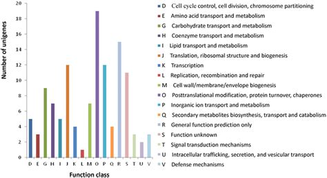 Cog Classification Of The Annotated 102 Degs The Capital Letters In Download Scientific