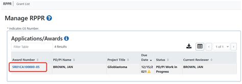Accessing The Rppr For Editing