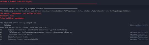 Can T Load Same Document Properly Issue ScerIO Packages Flutter GitHub