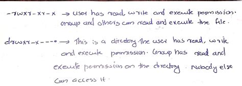 Cis206 Assignment 32 Lynch Docx 32 Assignment In Class Activity 1 32 Assignment In Cass
