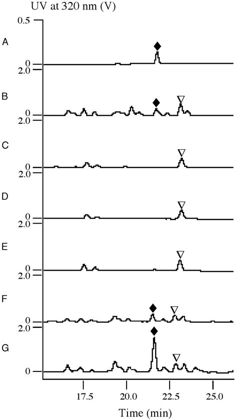 Type I Polyketide Synthase Requiring A Discrete Acyltransferase For Polyketide Biosynthesis Pnas
