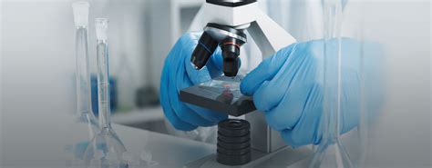Best Pathology Lab Test In Coimbatore 91 84288 88880 Pathogenix Lab