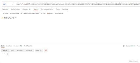 spring boot minio 异步分片上传 minio异步 csdn博客