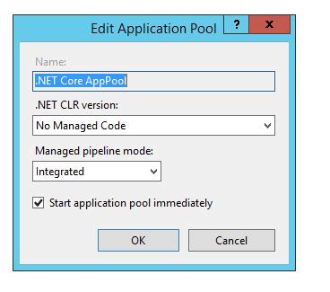C Run NET Core On IIS Giving Stack Overflow