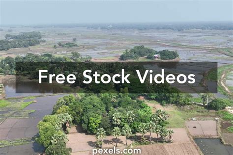 Mom Jacks Off Son Videos Download The Best Free 4k Stock Video Footage And Mom Jacks Off Son Hd