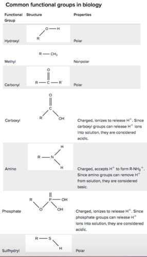 Functional Groups And Properties