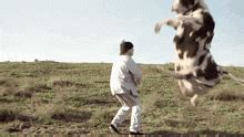 Kung Pow Cow S Tenor