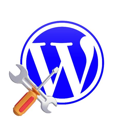 Fix Any One Wordpress Bug Nwaresoft Private Limited