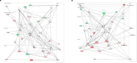 Genome Wide Rna Sequencing Results A Heat Map Of 134 Significantly