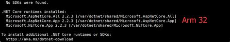 C Arm64 Cannot Use Core Stack Overflow