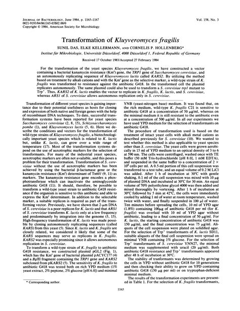 Pdf Transformation Of Kluyveromyces Lactis