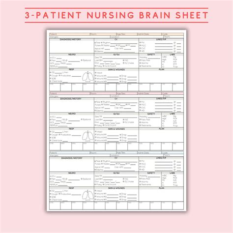 Nursing Report Sheet For 3 Patient Nurse Brain Sheet For Nursing
