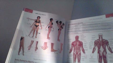 Joints Joint Movement Diagram Quizlet