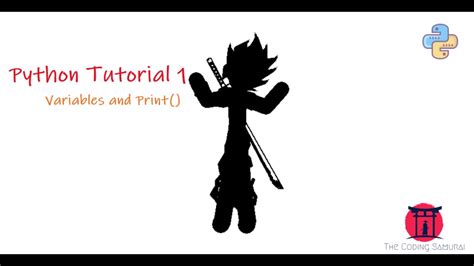 Python Tutorial 11 Variables And Print Function Your First